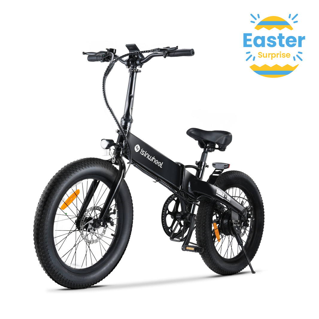 isinwheel | isinwheel R6 Retro Electric Bike